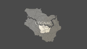 LOUIS XIII – Rémy Cointreau